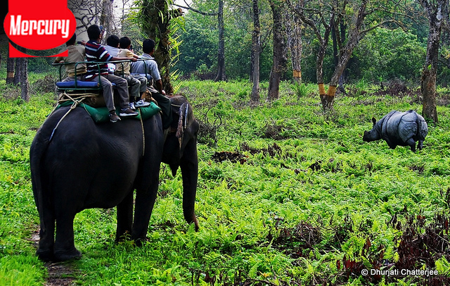 Dooars Tour Package Booking Price -Mercury Tour Operator