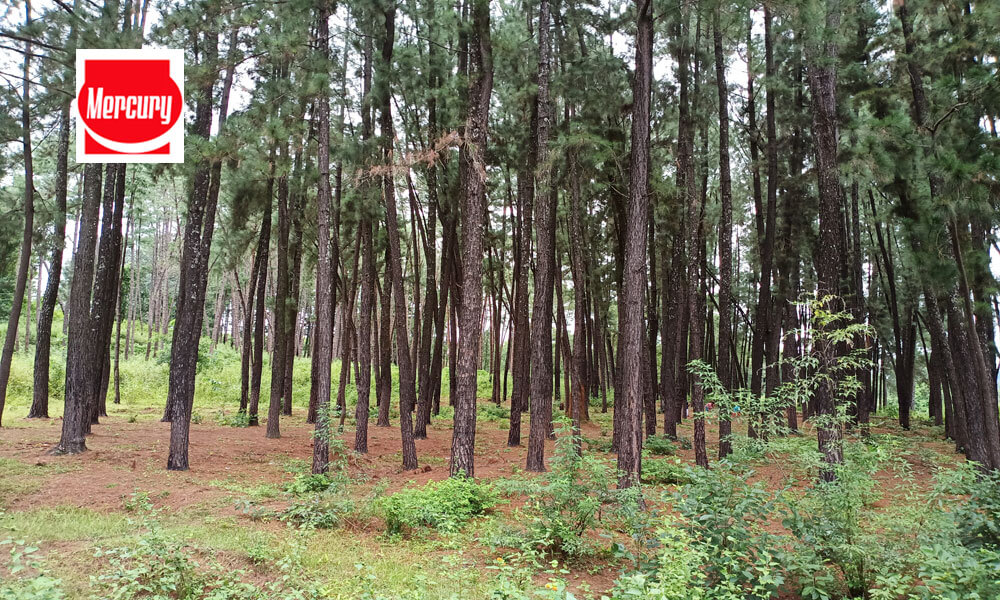 Daringbadi Tour, Daringbadi Package from Kolkata- Mercury Tour Operator