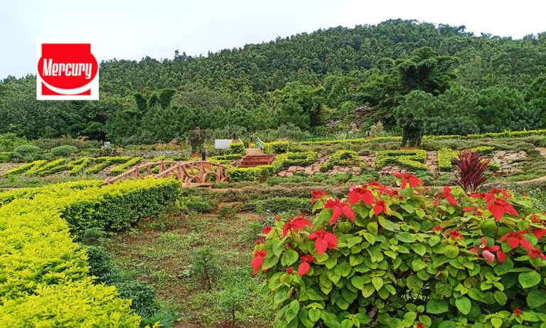 Daringbadi Tour, Daringbadi Package from Kolkata- Mercury Tour Operator