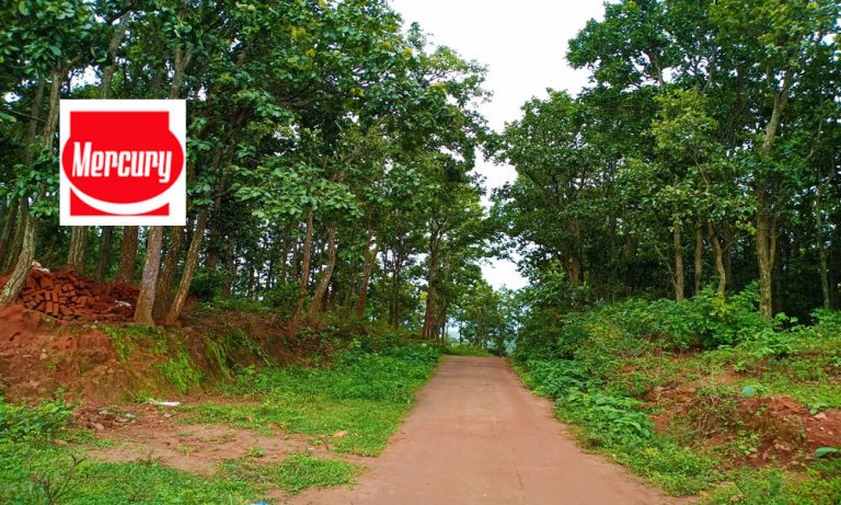 Daringbadi Tour, Daringbadi Package from Kolkata- Mercury Tour Operator