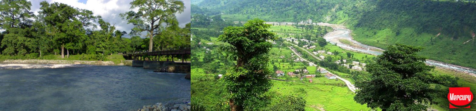Dooars Tour, Dooars Package from Kolkata ,NJP -Mercury Tour Operator